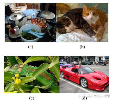 理解Selective Search - 知乎