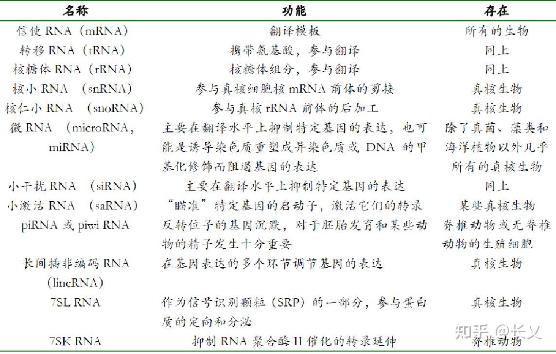 核酸的结构——生化笔记 - 知乎