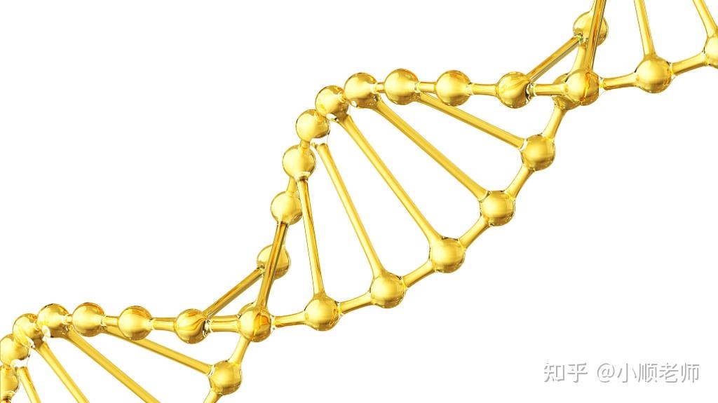 "EE" VS "TG" 鱼油分子结构究竟哪个更好？ - 知乎
