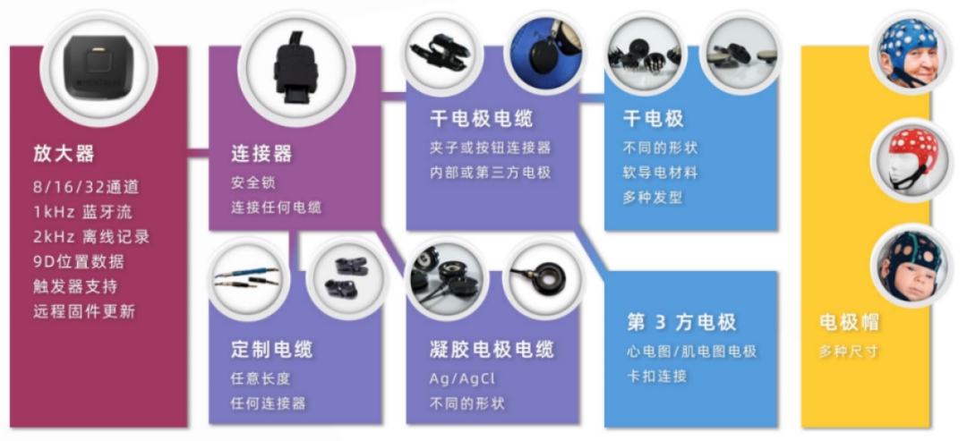 【新】Mentalab干湿电极兼容的脑电信号采集系统 - 知乎