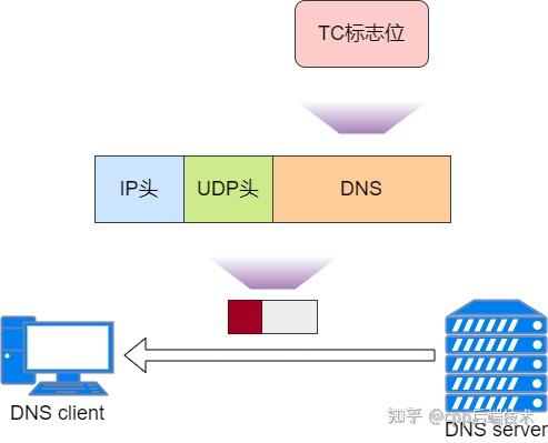 DNS是什么？一文彻底搞懂DNS的原理机制 - 知乎