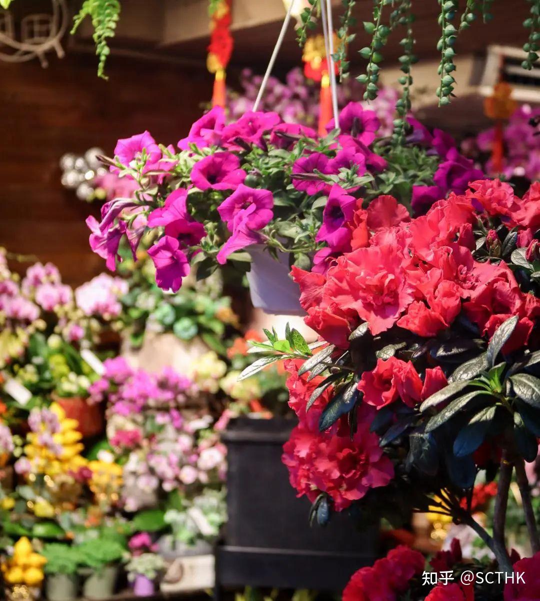 香港旺角一日游攻略！千万别错过！ - 知乎