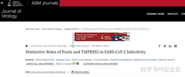 J Virol：两种特殊分子组合或有望阻断95%以上的SARS-CoV-2感染 - 知乎