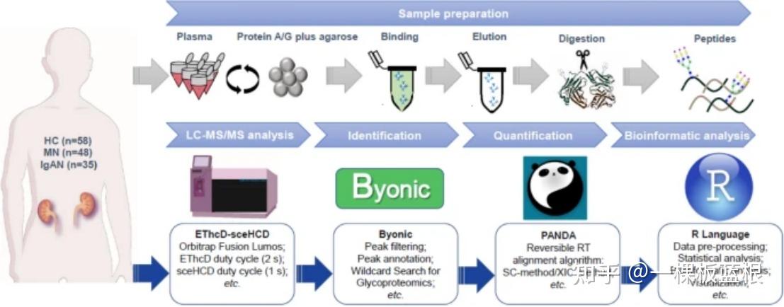 Phenomics | Phenomics期刊2024年第三期文章合集 - 知乎