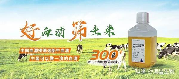 养好293T细胞的培养攻略 - 知乎