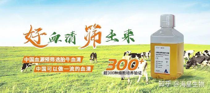 养好293T细胞的培养攻略 - 知乎