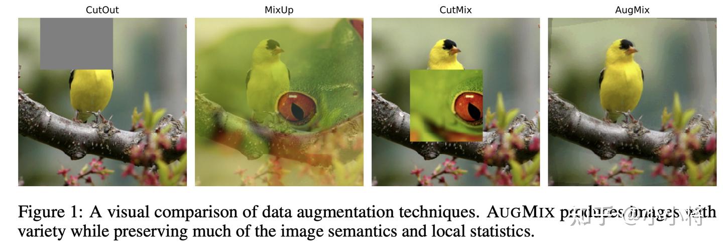 AugMix的原理和实现 - 知乎