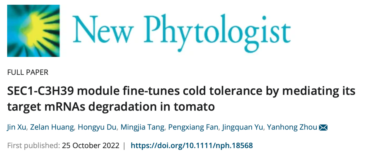 RIP-seq项目文章｜New Phytol发表番茄耐寒的转录后调控机制 - 知乎