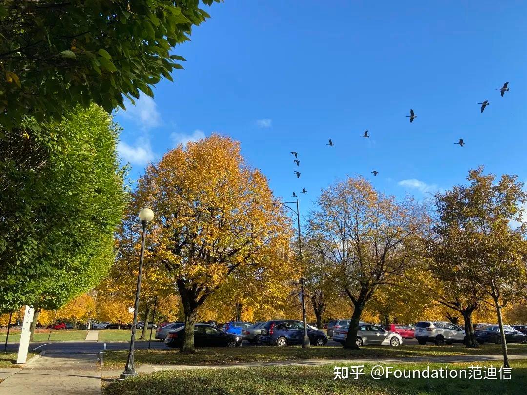 芝大学姐分享｜在“暴力之城”就读，芝加哥大学安全吗？ - 知乎