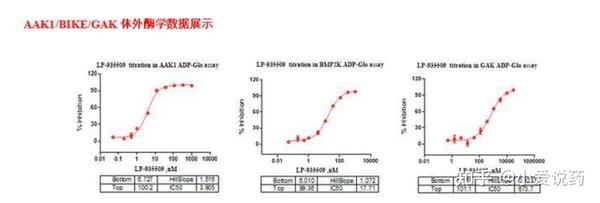 酶学实验服务|AAK靶点筛选服务|激酶谱实验服务|激酶谱筛选服务 - 知乎