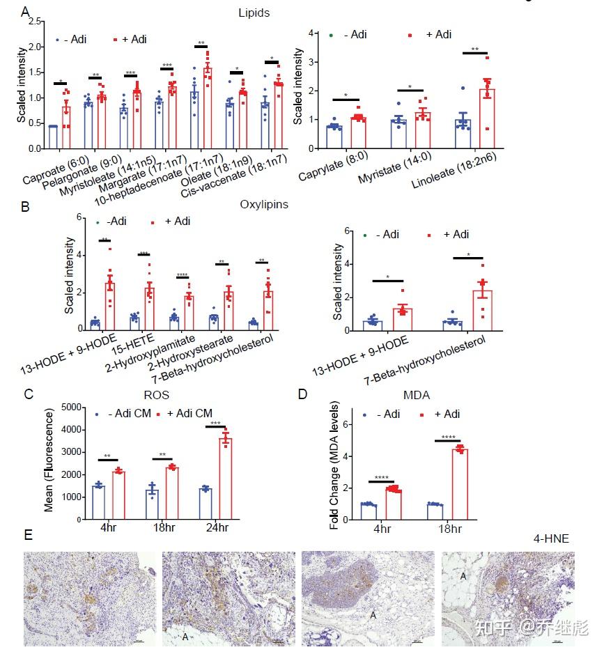 脂肪细胞通过诱导FABP4表达促进卵巢癌细胞迁移和介导对卡铂耐药 - 知乎