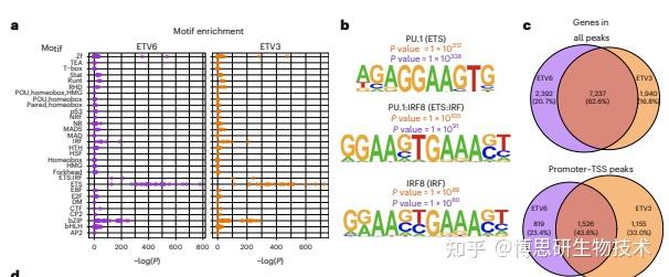 Nature immunology| 转录抑制子ETV3和ETV6调控单核细胞向分化 - 知乎