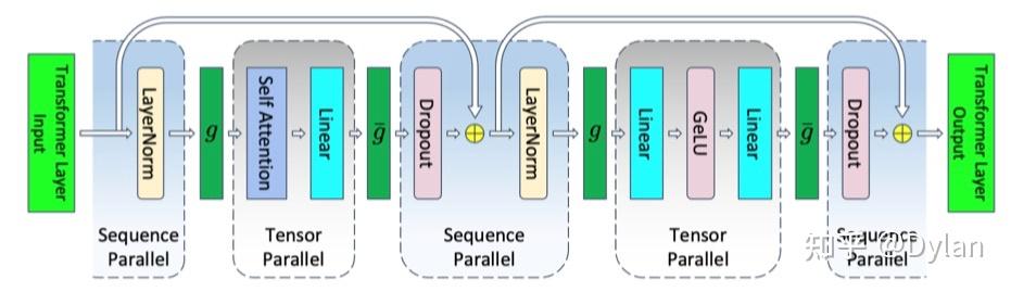 [实践] Sequence Parallel 知乎