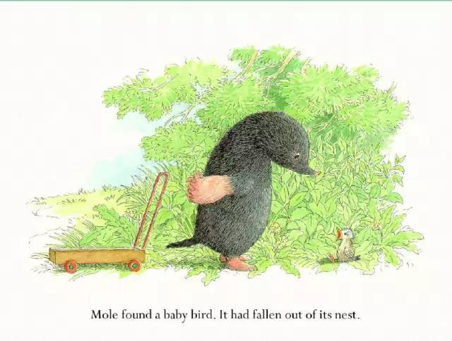 绘本故事 | Mole And The Baby Bird - 知乎