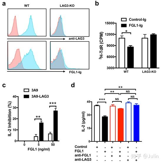 LAG3的配体之争 - 知乎