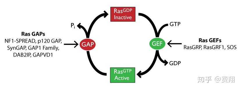 针对K-RAS突变癌症 - 知乎