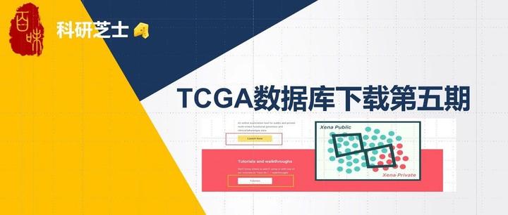 手把手教你用R语言下载TCGA数据：UCSCXenaTools - 知乎