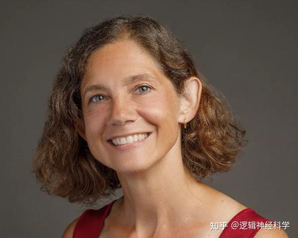 Sci Adv︱耶鲁大学Marina Picciotto团队重新解析大脑对奖赏信息的处理 - 知乎