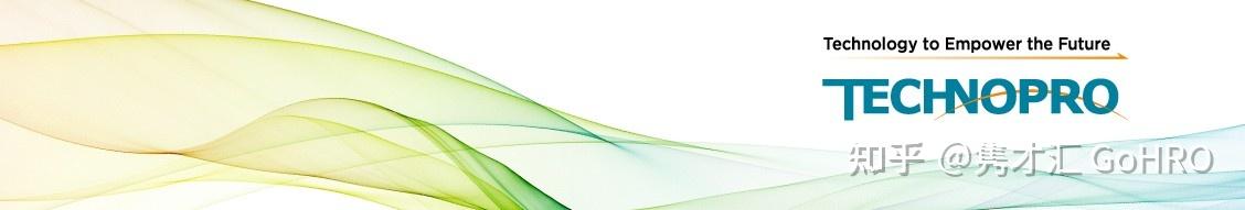 TechnoPro Holdings——日本最大的技术人员服务公司 - 知乎