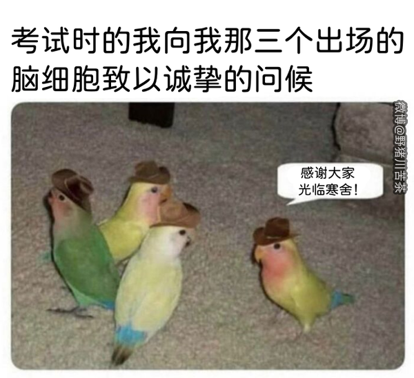 沙雕搞笑迷因梗图meme - 知乎