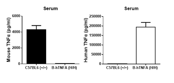 新一代银屑病药物：靶向以IL-17为代表的炎性细胞因子通路 - 知乎