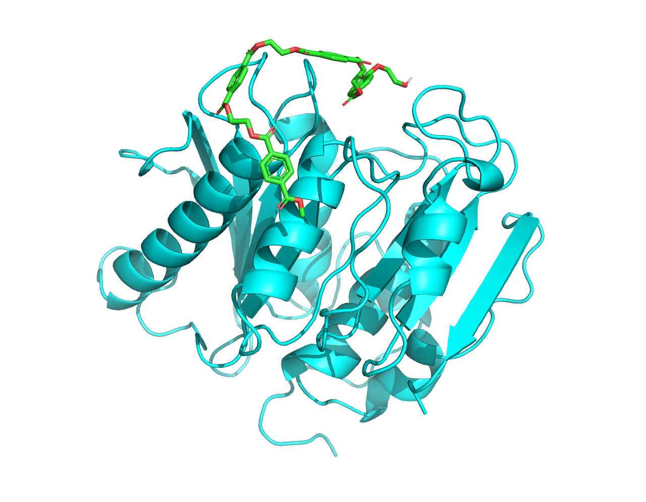使用Autodock vina进行分子对接 - 知乎