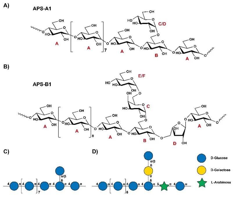 一作解读|IJBM：黄芪多糖的结构表征与抗炎活性 - 知乎