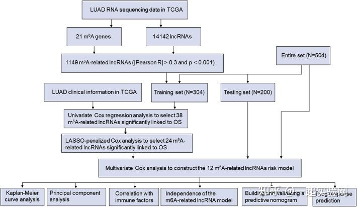 8+的基于m6A的lncRNA风险模型构建！ - 知乎