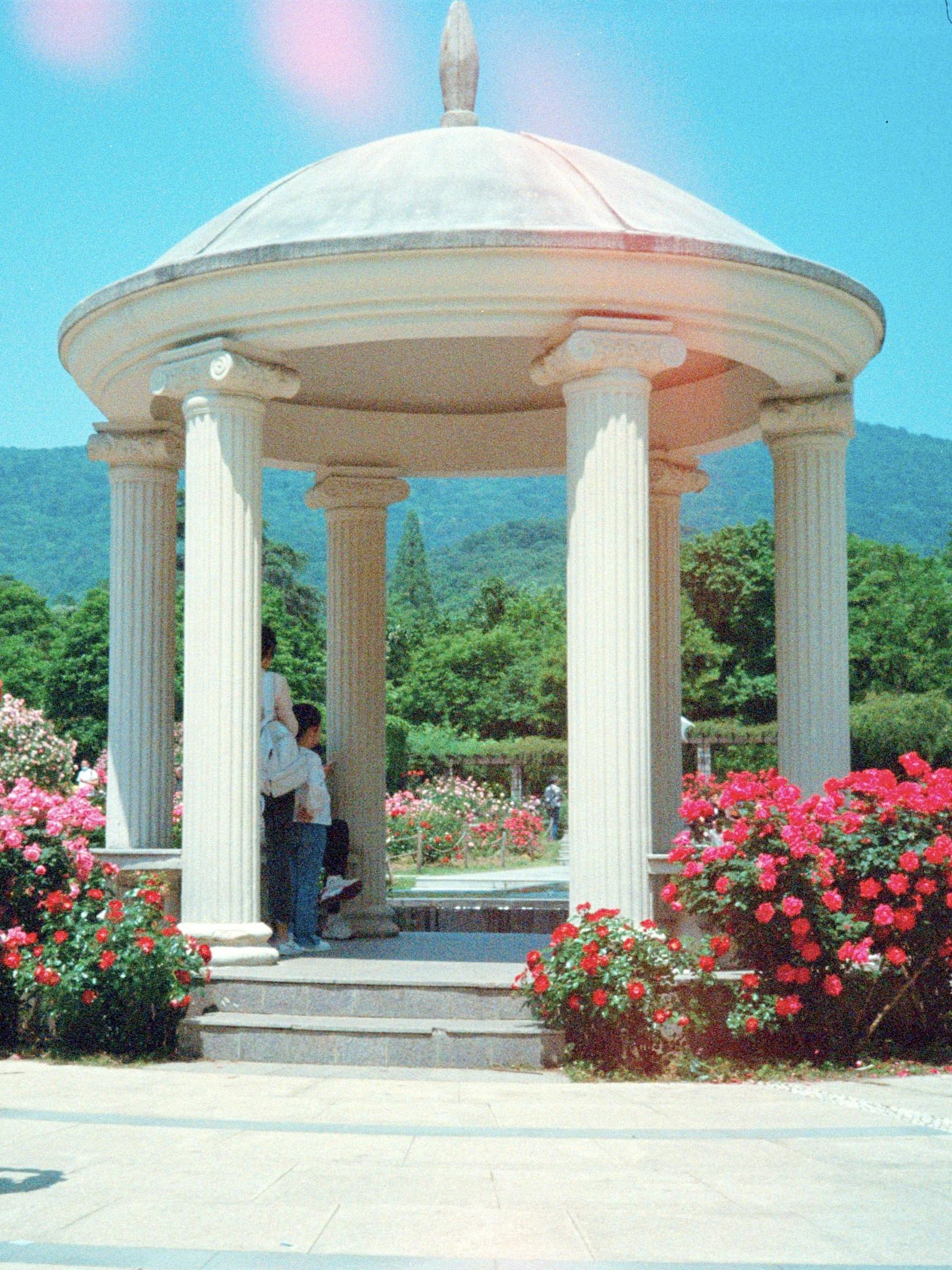 Kodak UltraMax 400 胶片拍摄指南 - 知乎