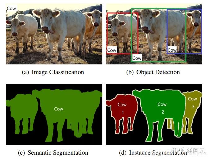【进展综述】单阶段实例分割（Single Stage Instance Segmentation） - 知乎