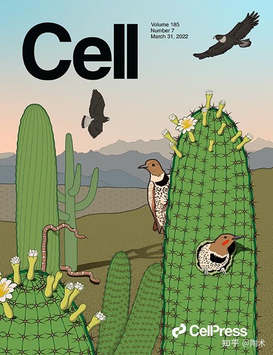 生科大事件 | 2022上半年Cell/Nature/Science封面故事（上） - 知乎