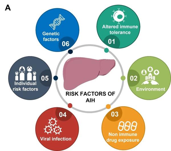 AACR精彩回顾 | AIH小鼠模型研究分享：阻断自噬改善 Con A 诱导的小鼠自身免疫性肝炎 - 知乎