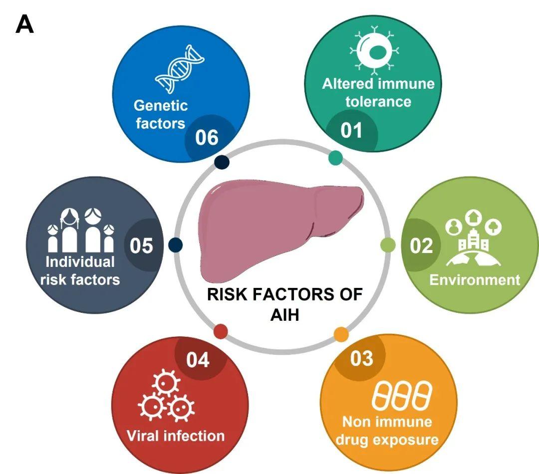 AACR精彩回顾 | AIH小鼠模型研究分享：阻断自噬改善 Con A 诱导的小鼠自身免疫性肝炎 - 知乎