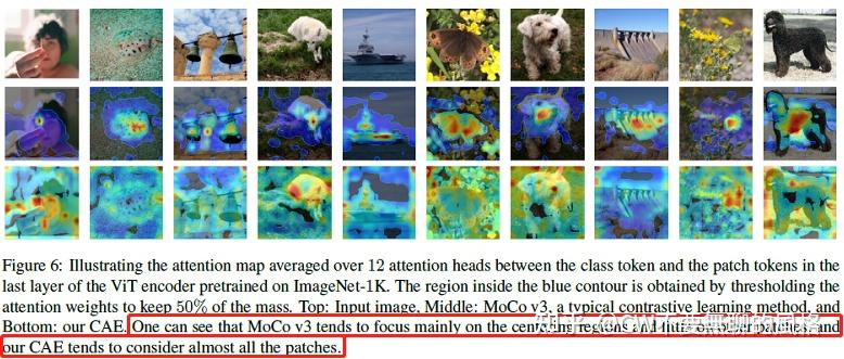 来看看新一代 MIM 青年 CAE(Context AutoEncoder) 如何克服 MAE 中表征学习不充分的问题 - 知乎