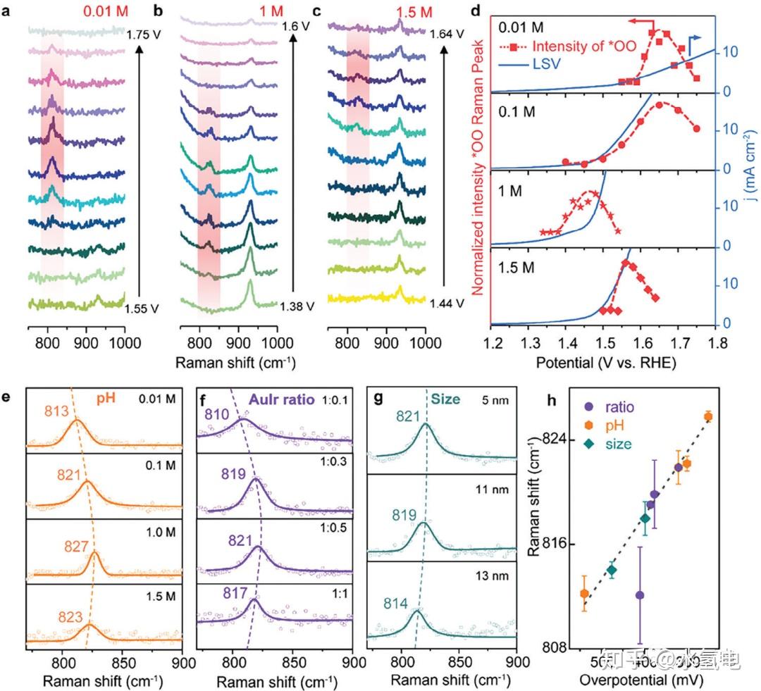 厦大Small：直接捕获和调节高效OER的关键中间体 - 知乎