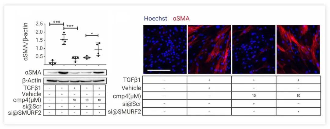 高通量筛选的不同应用场景 - MedChemExpress - 知乎