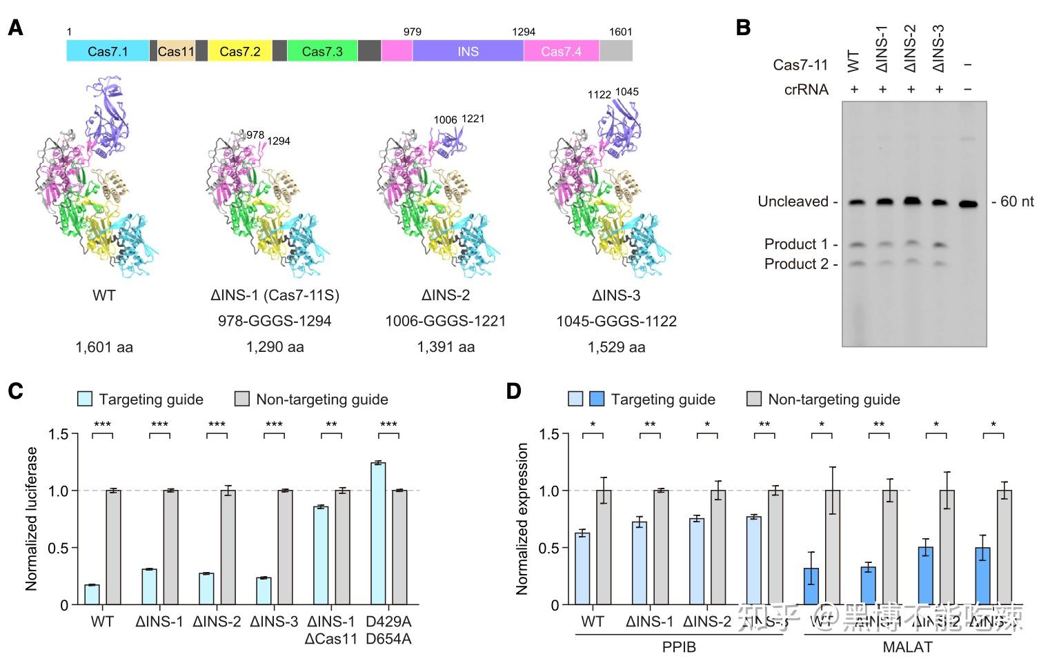 RNA靶向性的Type III CRISPR Cas家族 - 知乎