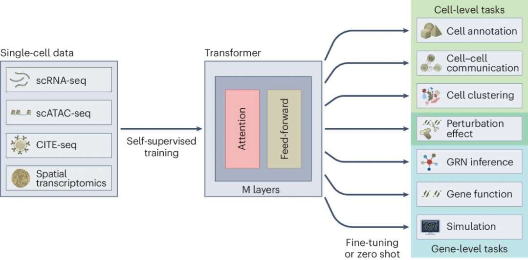 【大汇总，值得收藏！】Nature Methods速递 | 八月专刊：生物学中的人工智能 - 知乎