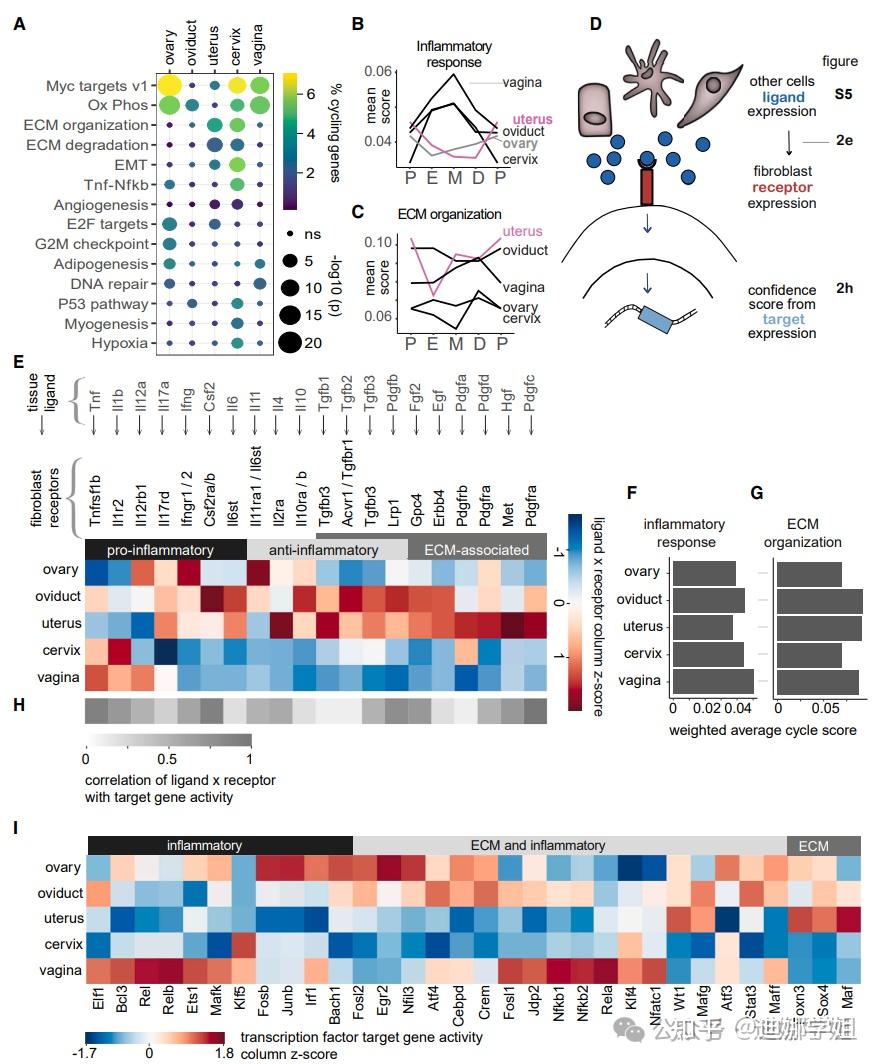 CNS顶刊论文绘图配色，这10个核心技巧你不容错过！ - 知乎