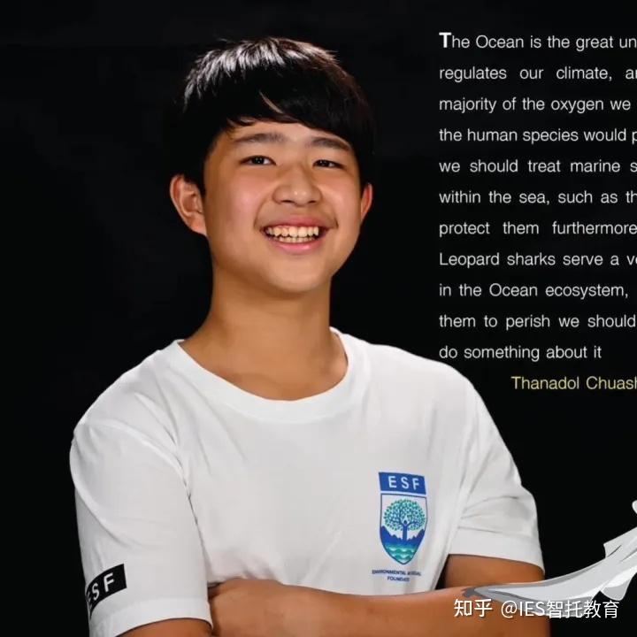 Nadol：拯救豹纹鲨的坚定之旅 - 知乎