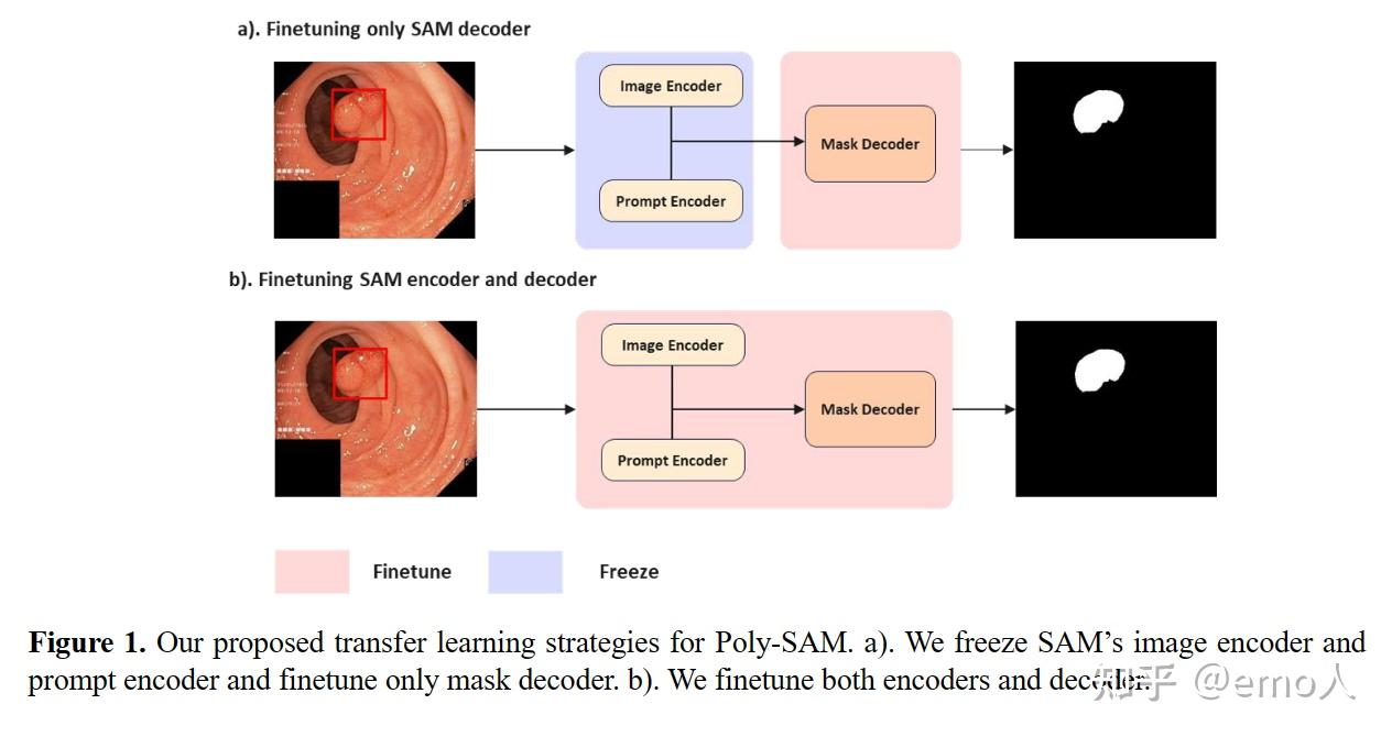 【笔记】Polyp-SAM - 知乎