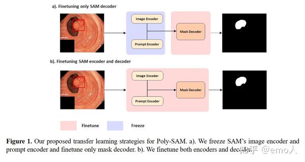 【笔记】Polyp-SAM - 知乎