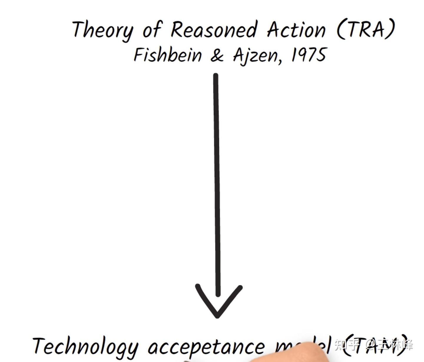 TAM - 知乎