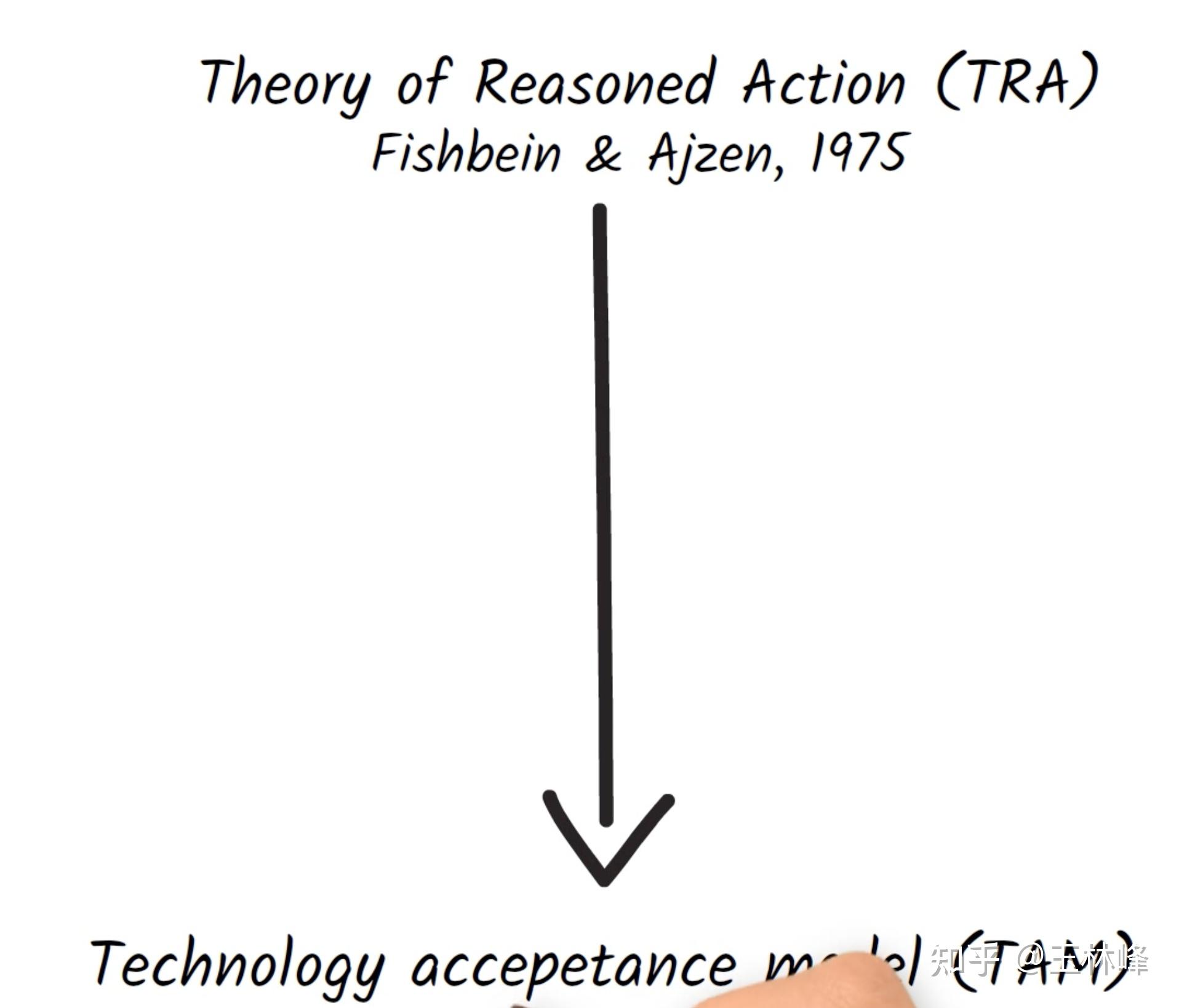 TAM - 知乎