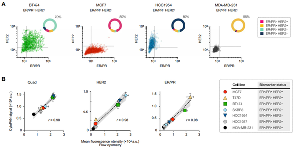 Sci Trans Med| 便携式乳腺癌诊断系统, 1小时50个细胞诊断受体亚型 - 知乎