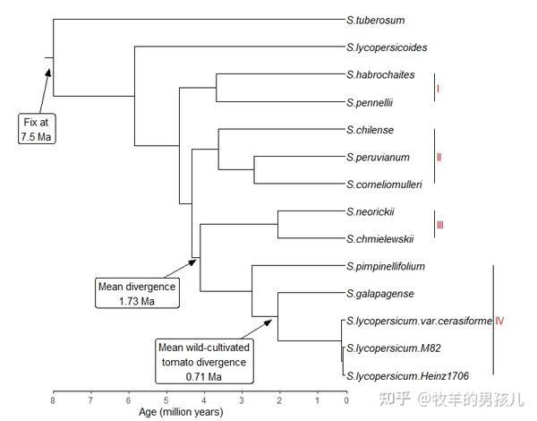 跟着Nature Genetics学作图：R语言ggtree画进化树展示不同种番茄的进化关系 - 知乎