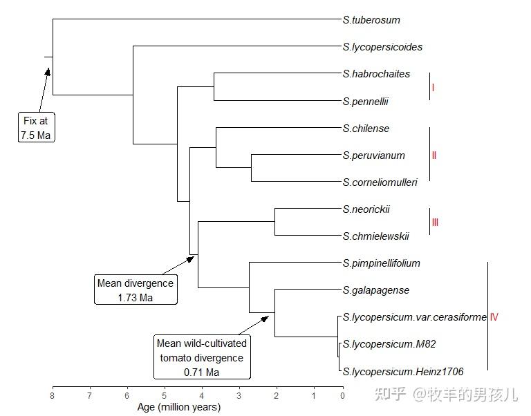 跟着Nature Genetics学作图：R语言ggtree画进化树展示不同种番茄的进化关系 - 知乎
