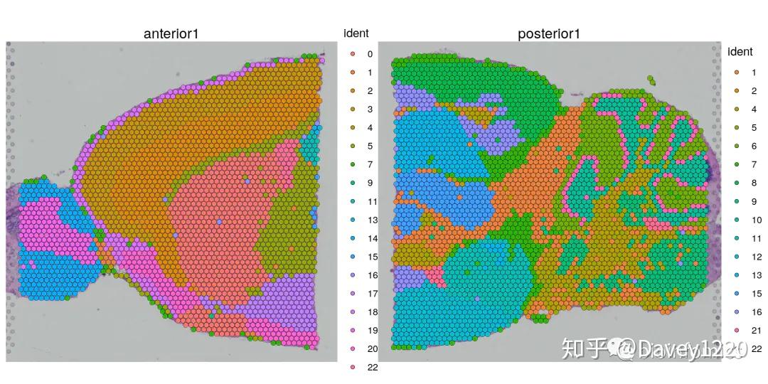 Seurat包学习笔记（三）：Analysis of spatial datasets - 知乎