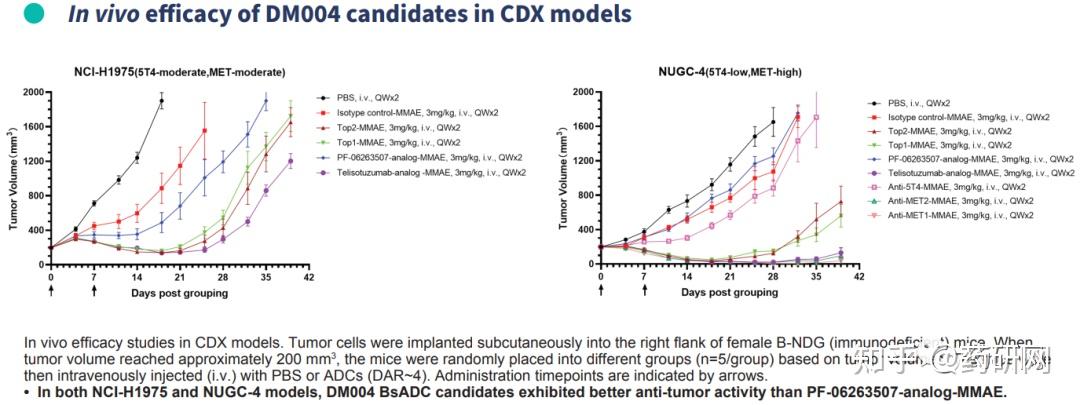 ADC新靶点: TPBG（5T4） - 知乎