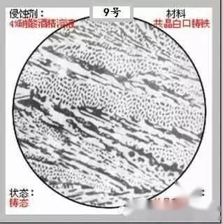 金相组织入门，金相组织图谱说明 - 知乎